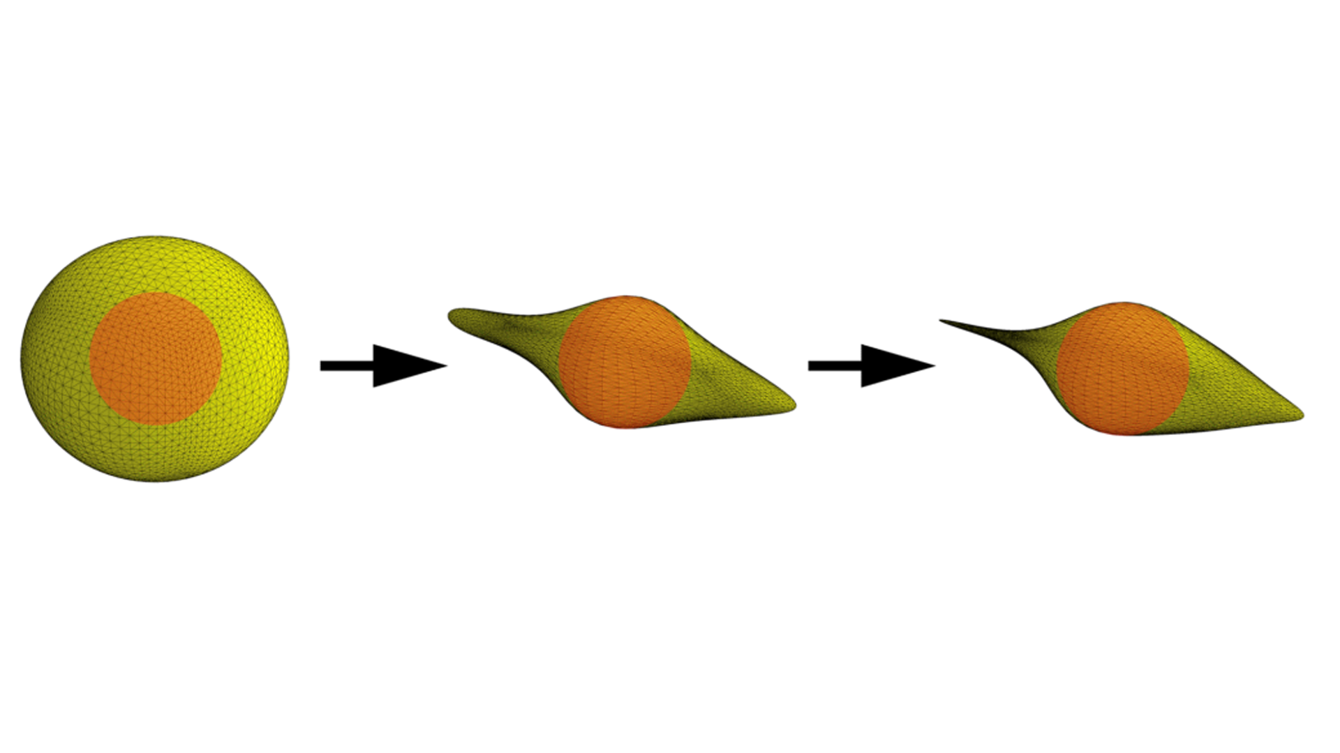 Geodesic Convolutional Shape Optimization: Optimize Complex Shapes Fast